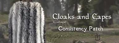 Cloaks and Capes Consistency Patch - The Elder Scrolls V: Skyrim ...