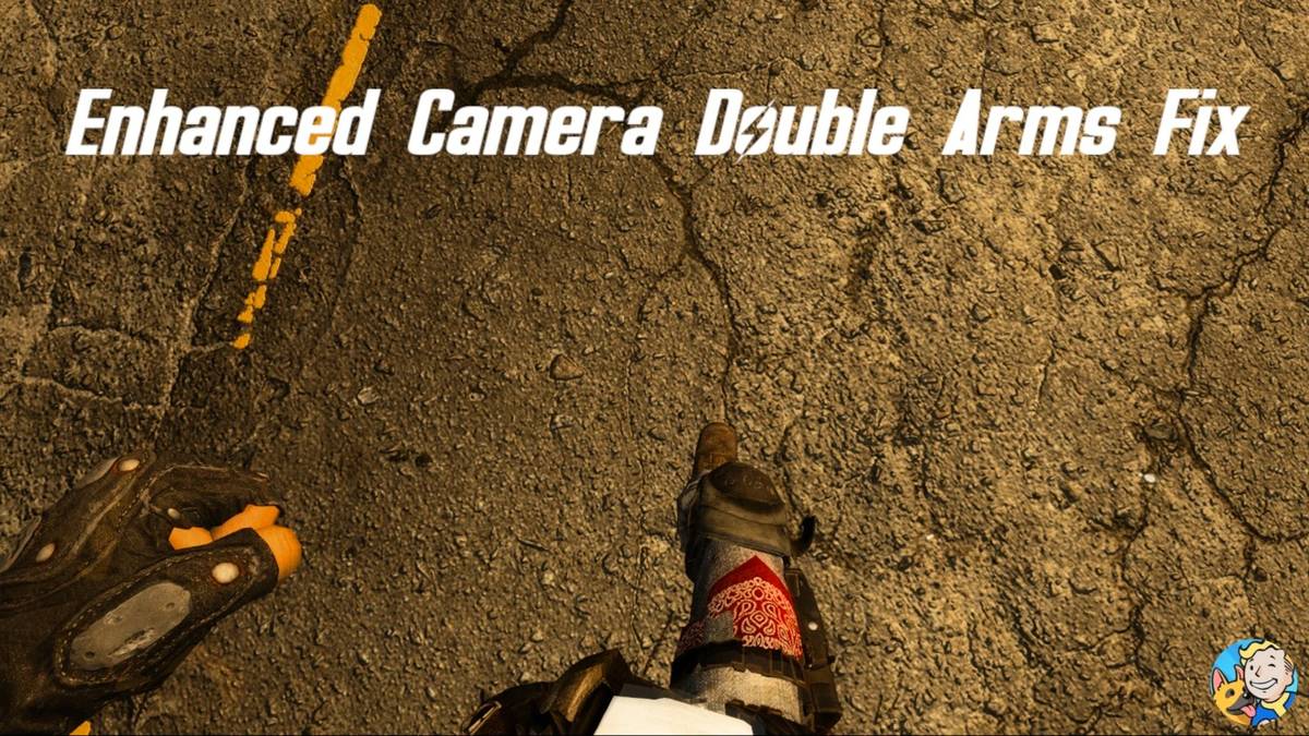 Enhanced Camera Double Arms fix - ESPless - Fallout: New Vegas